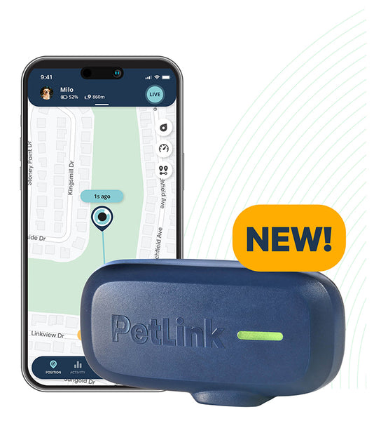 PetLinkGPS for Dogs – The PetLink Store